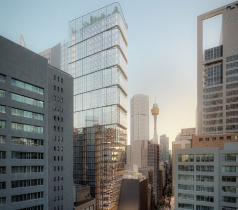 Team | 558 Pacific Highway St Leonards